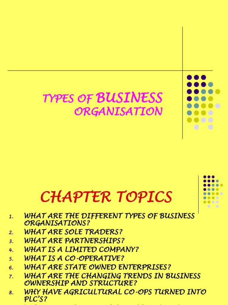 Business Organisation Powerpoint | PDF | Sole Proprietorship | Board Of ...