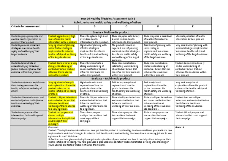 Marked Rubric Student Example | PDF | Target Audience | Rubric (Academic)