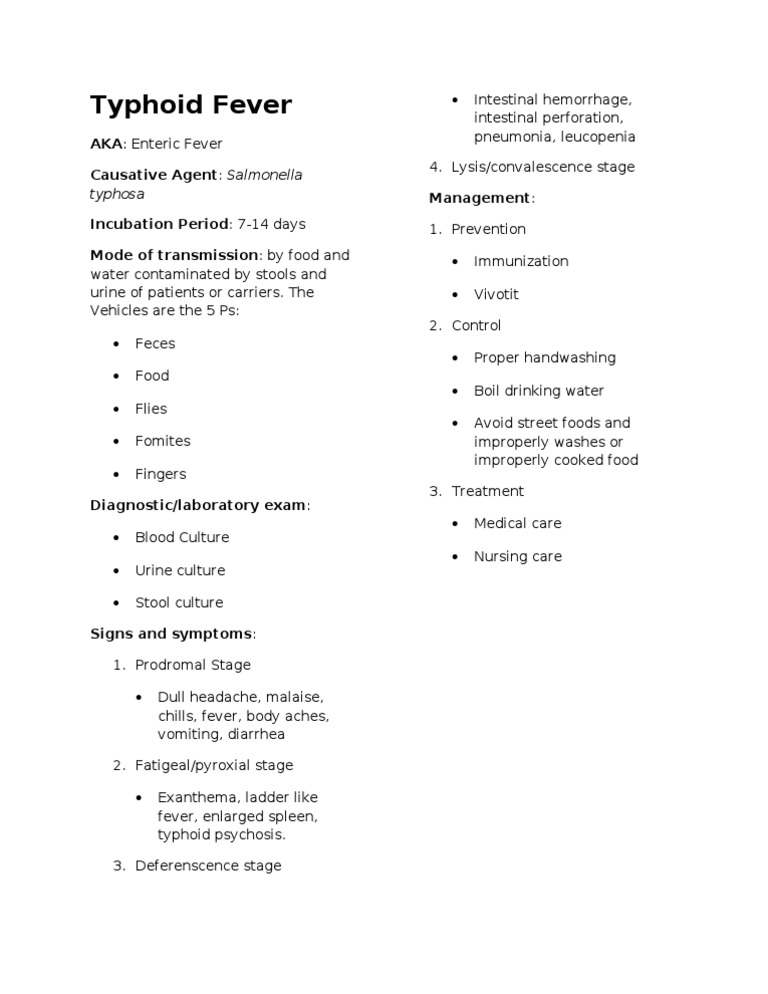 Typhoid Fever | PDF