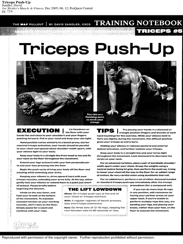 Triceps Push Up | PDF