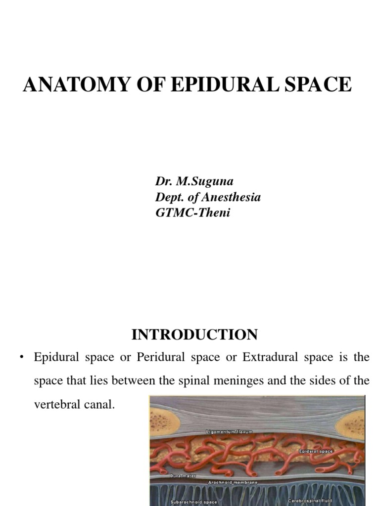 Anatomy of Epidural Space: Dr. M.Suguna Dept. of Anesthesia GTMC-Theni ...
