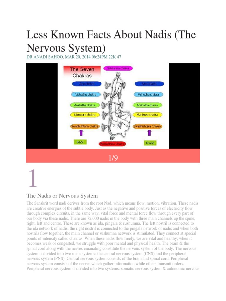Brahma Nadi | PDF | Neuron | Nervous System