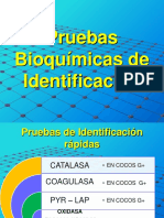 Optoquina 2,1 | PDF | Estreptococo | Microbiología