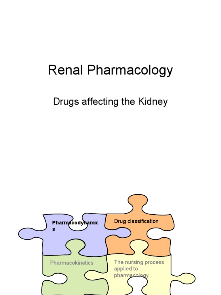 Renal Pharmacology: Drugs Affecting The Kidney | PDF | Pharmacology ...