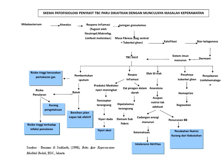 Pathway TB Paru | PDF