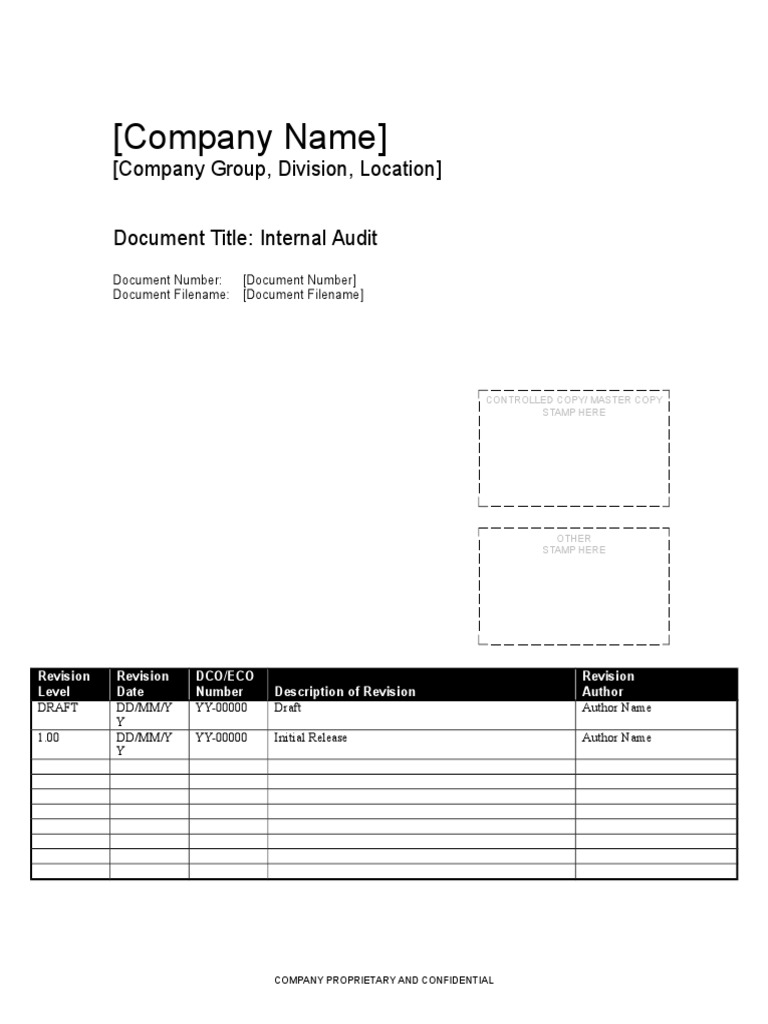 Internal | PDF | Internal Audit | Audit