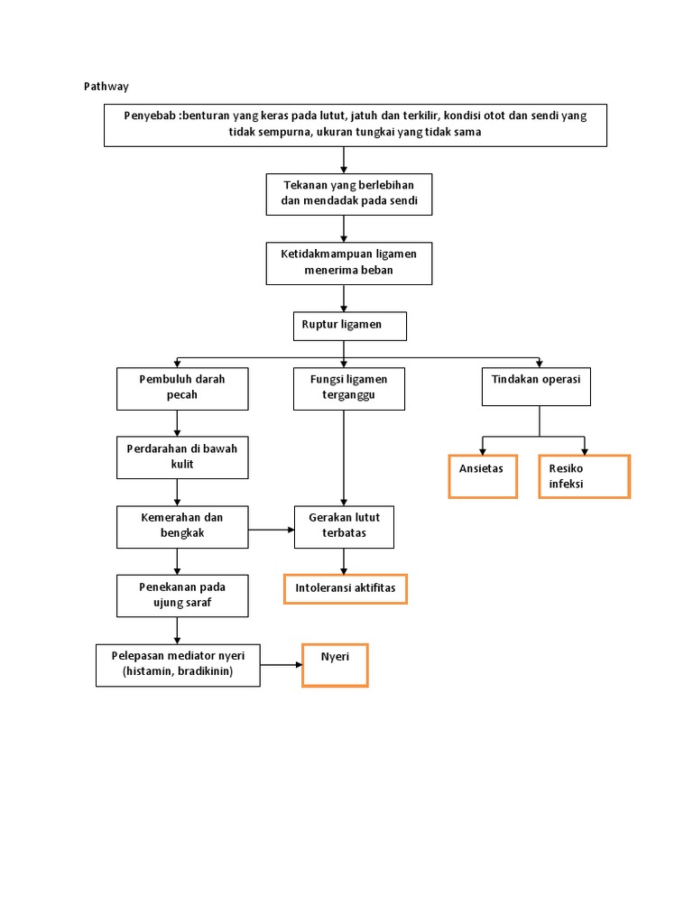 Pathway Ruptur Acl | PDF