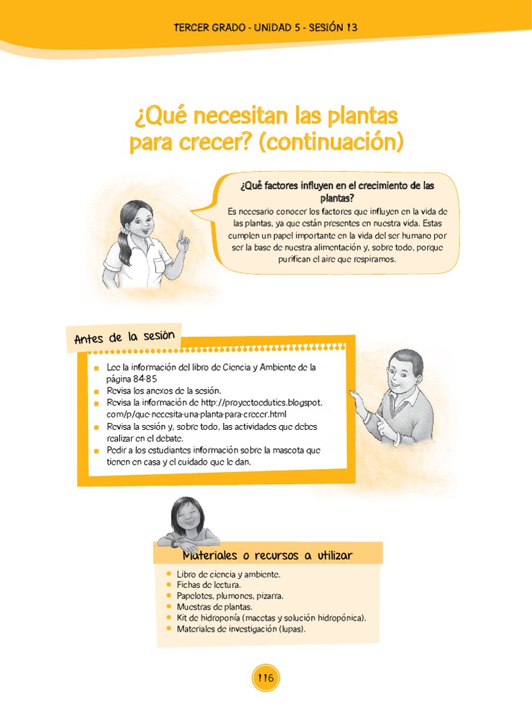 ¿Qué Necesitan Las Plantas para Crecer? (Continuación) : Antes de La ...