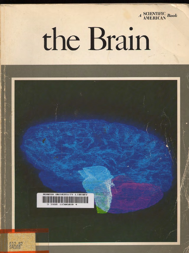 Scientific American - The Brain (1979) | PDF