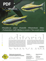 Anatomía de Aletas en Peces | PDF | Cordados | Pescado