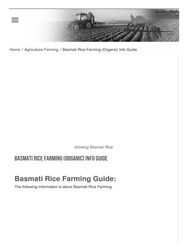 Basmati Rice Farming (Organic) Info Guide | PDF | Rice | Organic Farming