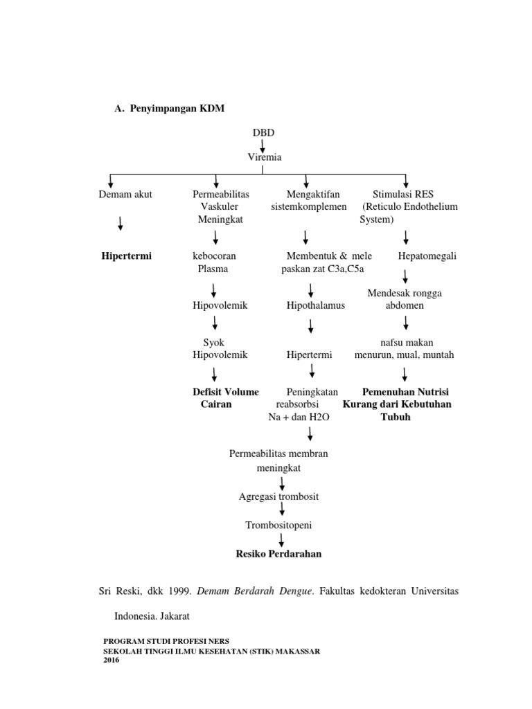 Pathway | PDF