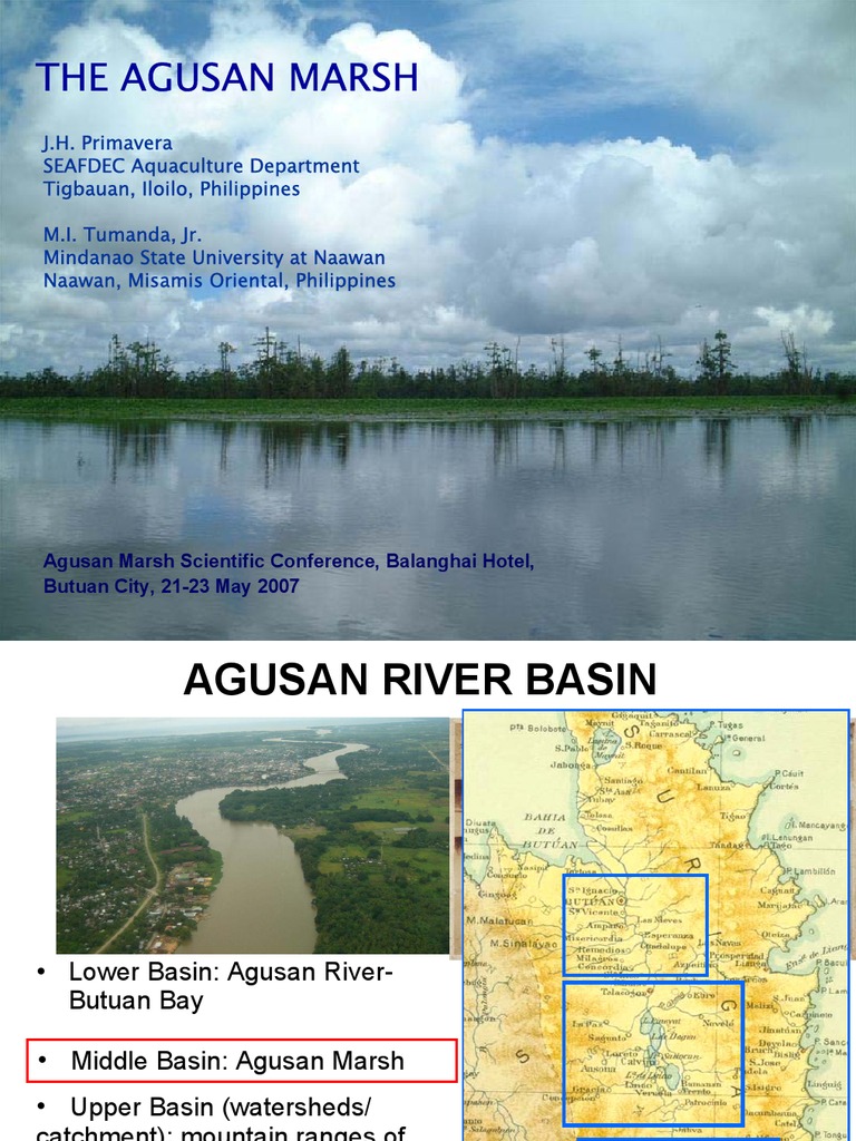 The Agusan Marsh | Water Resources | Sustainability
