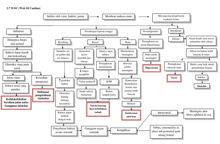 2.7 WOC (Web of Caution) : Hipertermi A Nyeri BB | PDF