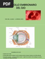 Filosofía de Ronald H. Roth | PDF | Ortodoncia | Odontología