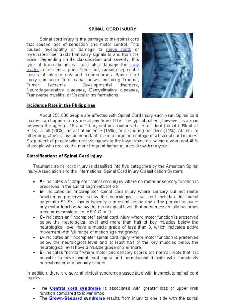 1spinal Cord Injury | PDF | Spinal Cord Injury | Physical Therapy