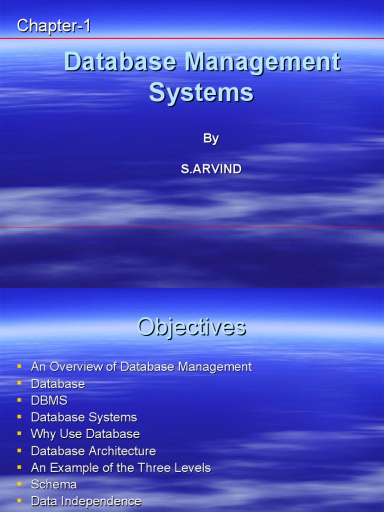 Overview DBMS | PDF | Data | Databases