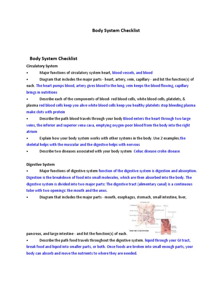 Body System Checklist WW | PDF | Endocrine System | Respiratory System