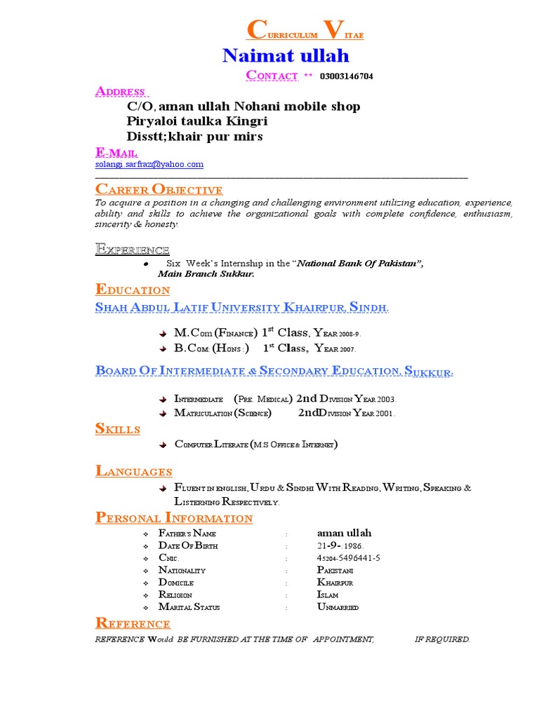 Naimat Ullah's Professional CV | PDF