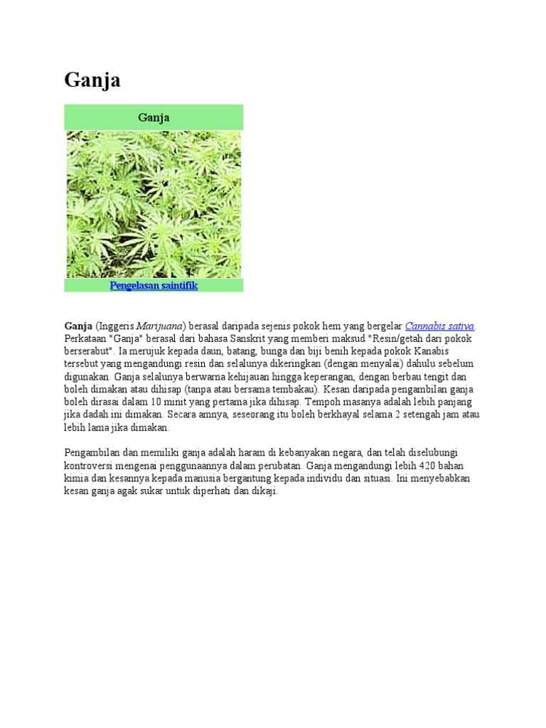 Ganja | PDF