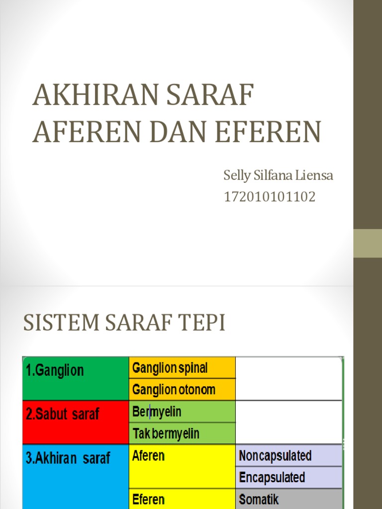 Akhiran Saraf Aferen Dan Eferen | PDF