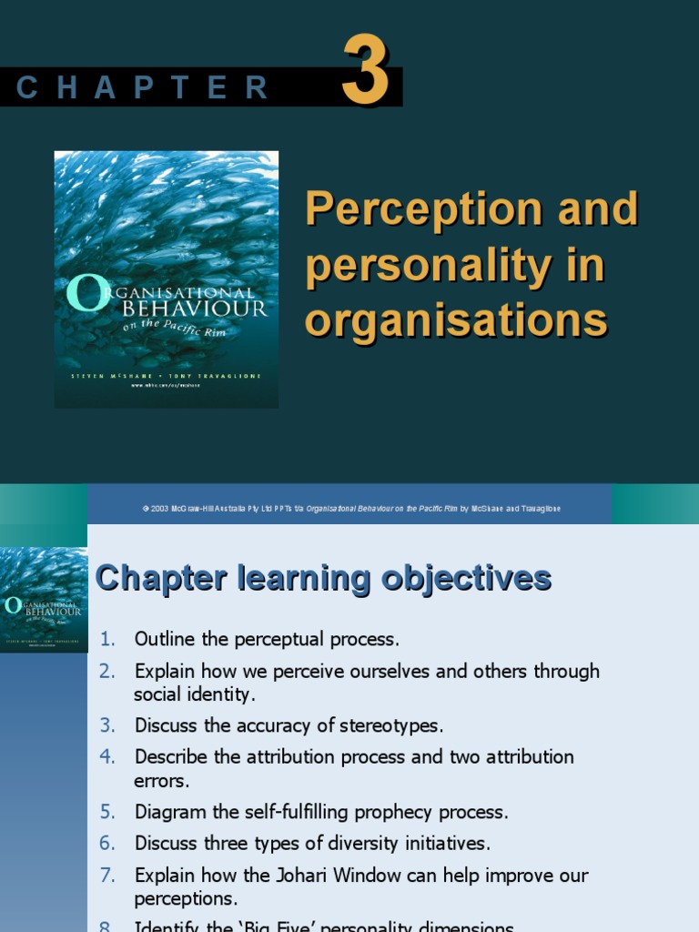 Perception and Personality in Organisations | PDF | Extraversion And Introversion | Perception