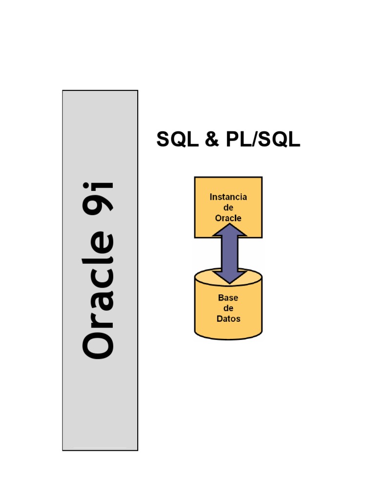 Manual Oracle 9i Pdf Sql Pl Sql