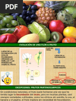 Partes y Tipos de Frutos y Semillas | PDF | Plantas de jardín | Fruta