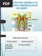 Composición Química Del Esmalte | PDF | Esmalte de dientes | Diente humano