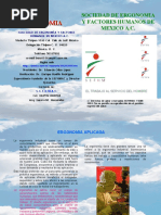 Formato Ayudas Visuales | PDF | Bienes de consumo