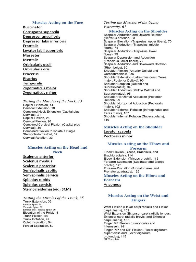 Motor Point Index | PDF | Anatomical Terms Of Motion | Foot