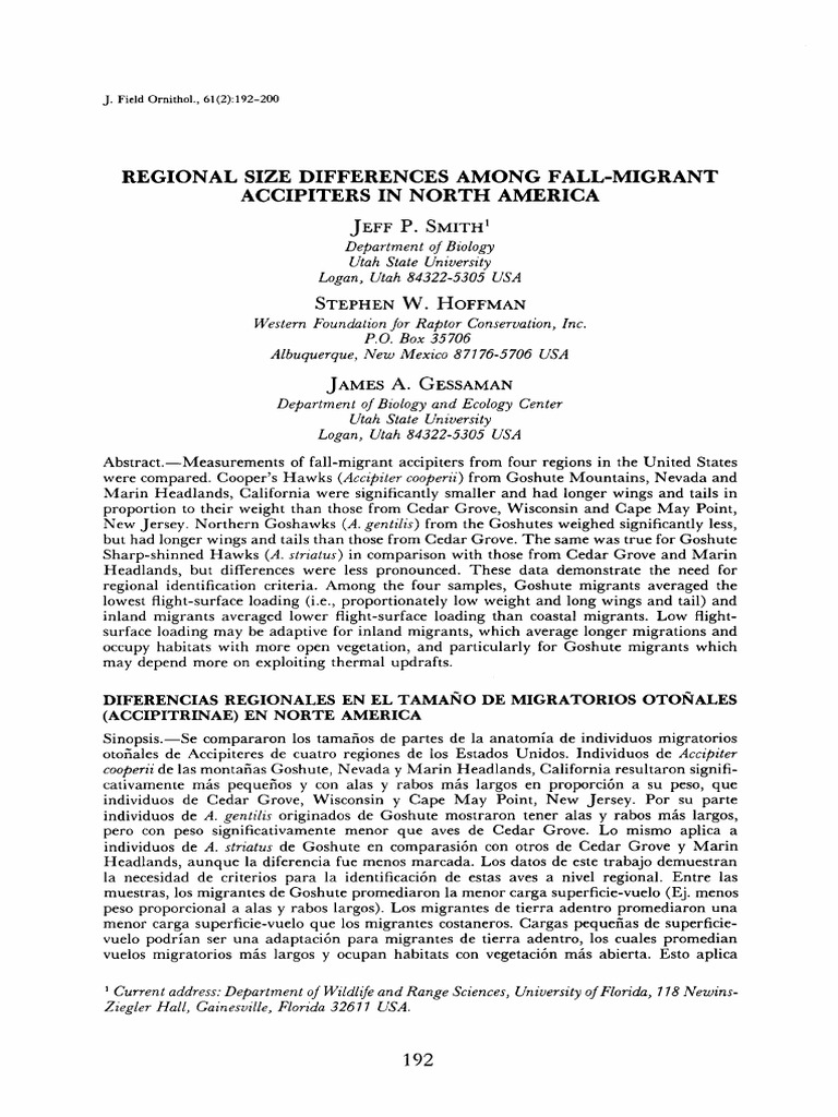 Accipiters North America PDF | PDF | Birds | Tetrapods