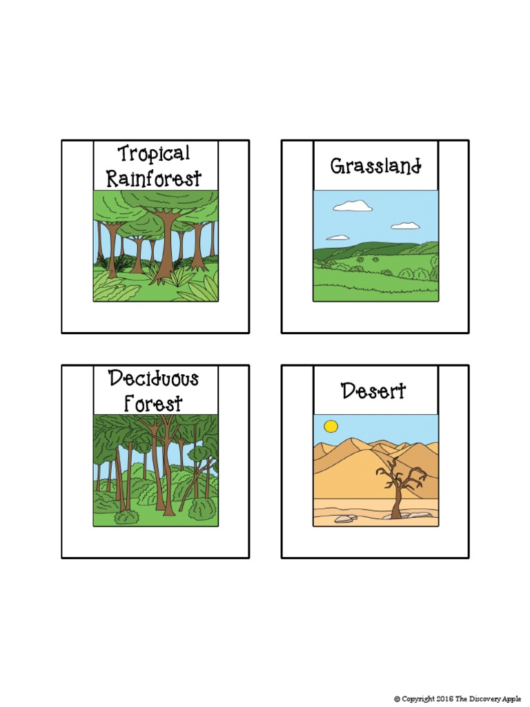 Biome Notebook Sort | PDF
