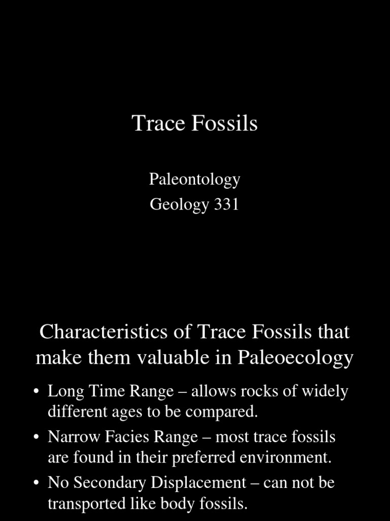 Trace Fossils | PDF | Fossil | Paleontology