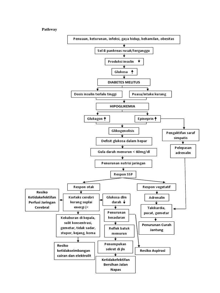 Pathway HiPogLikeMia | PDF