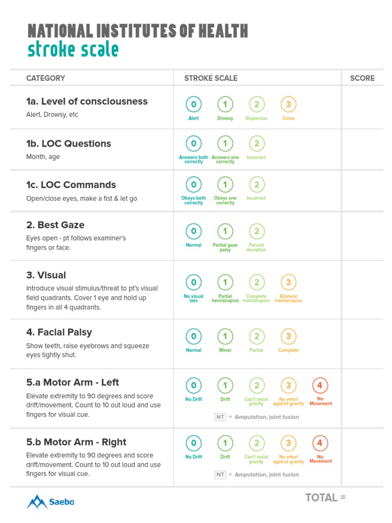 Stroke Scale PDF 2 PDF | PDF | Neuropsychology | Mental Processes