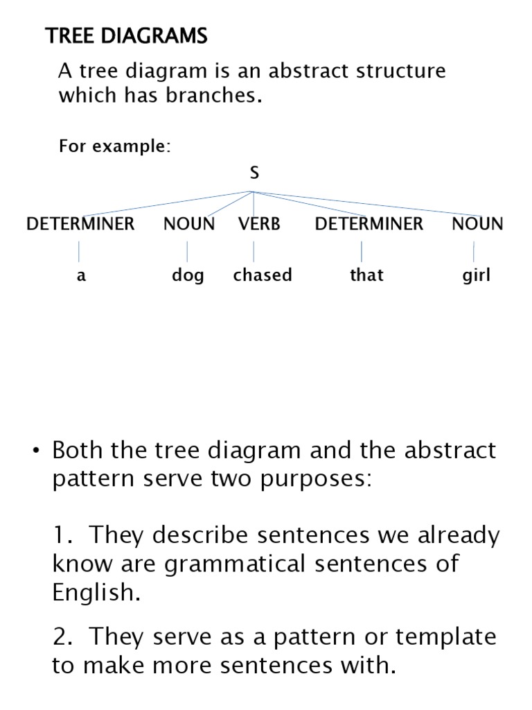 Tree Diagrams A Tree Diagram Is An Abstract Structure Which Has ...