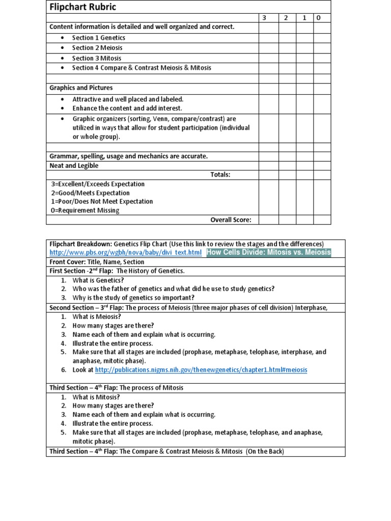 How Cells Divide: Mitosis vs. Meiosis | PDF