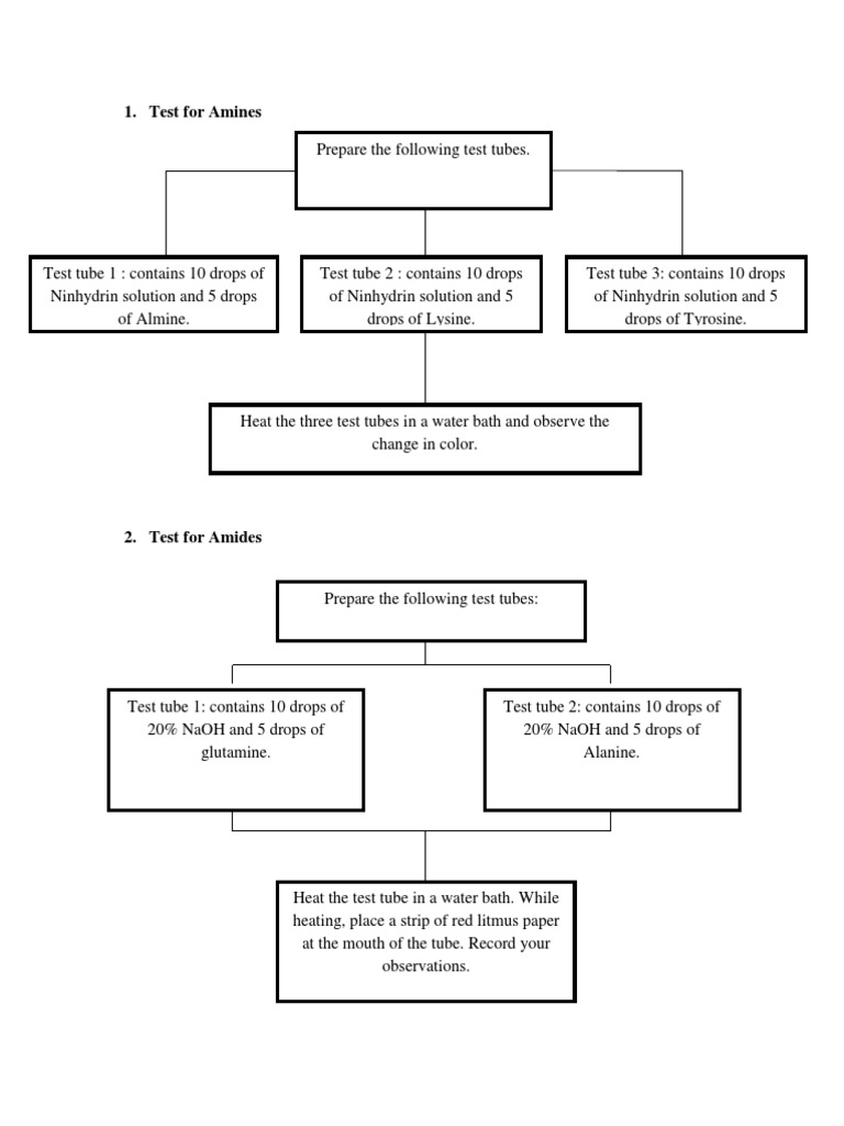 Schematic Diagram | PDF | Wellness