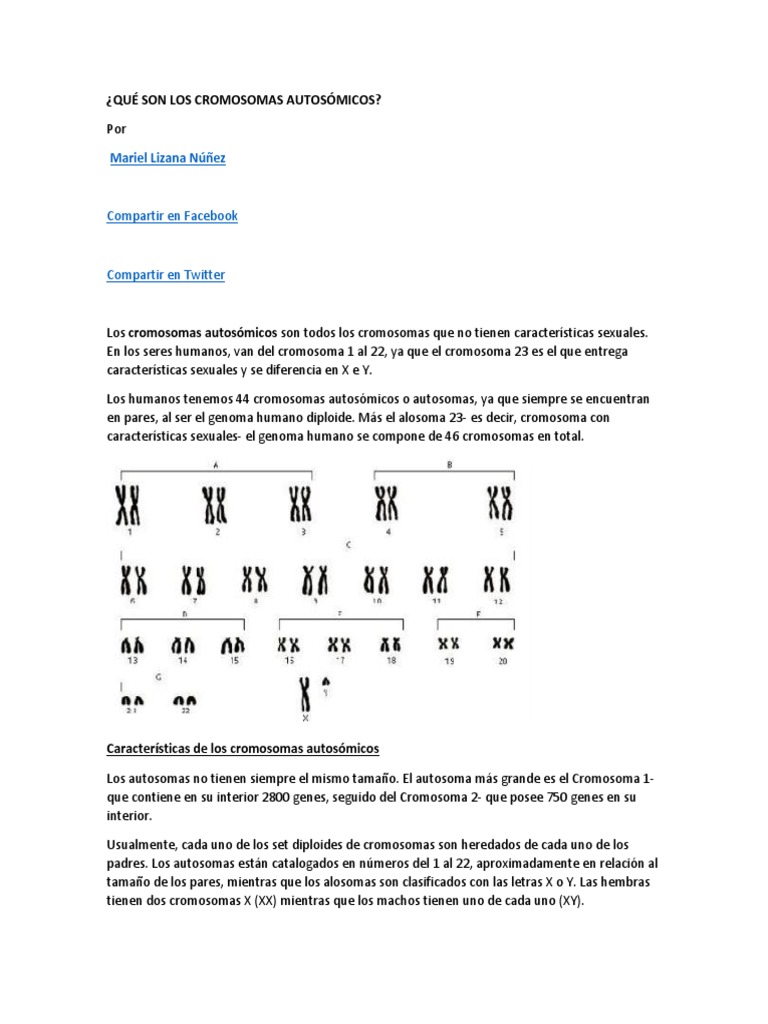 Qué Son Los Cromosomas Autosómicos | PDF | Dominancia (Genética) | Gene