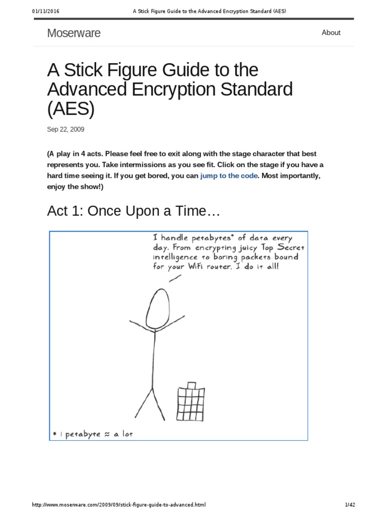 A Stick Figure Guide To The Advanced Encryption Standard (AES) | PDF