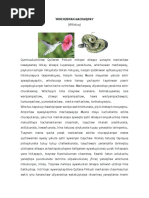 Letra de Valicha | PDF