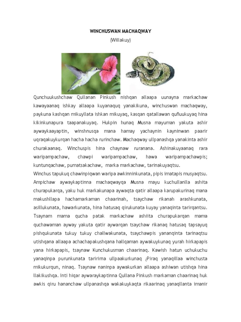 Cuento en Quechua | PDF | Naturaleza