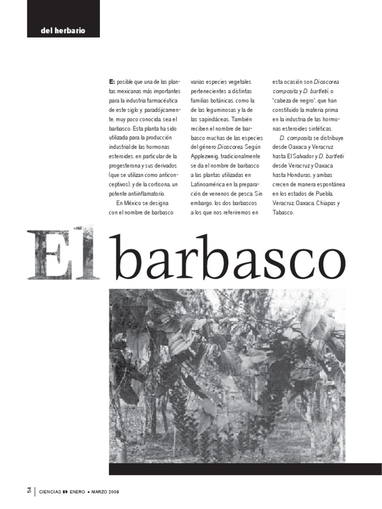 Historia del Barbasco en la Industria Farmacéutica | PDF | Progesterona ...