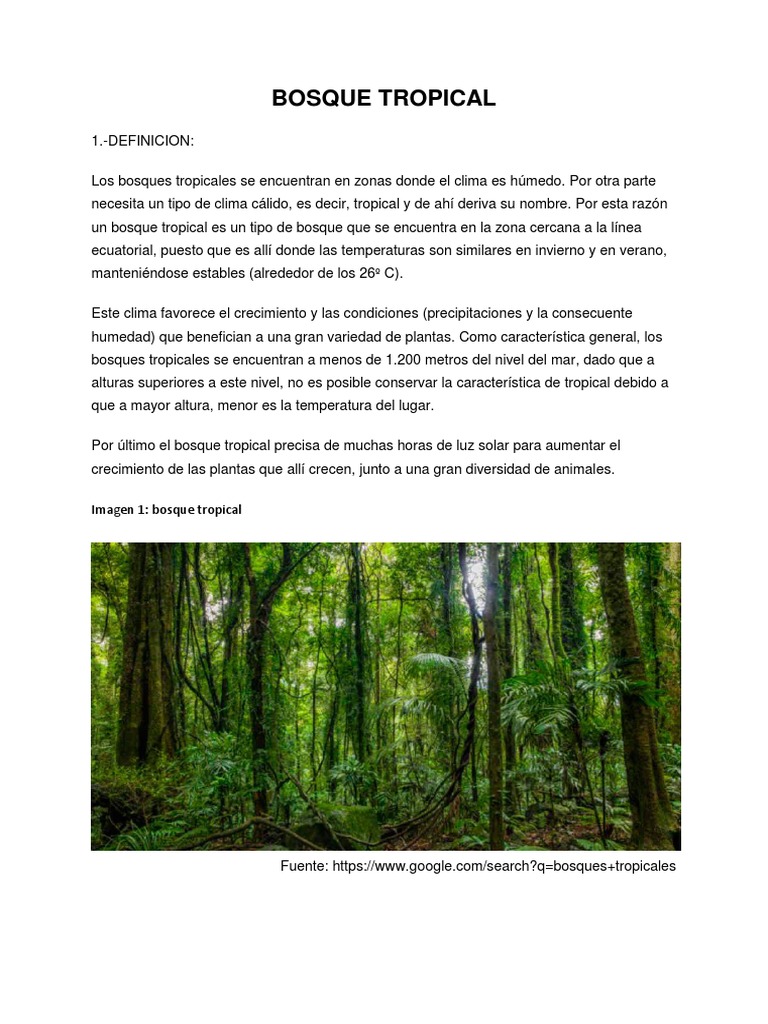 Bosque Tropical | PDF | Zona tropical | Selva