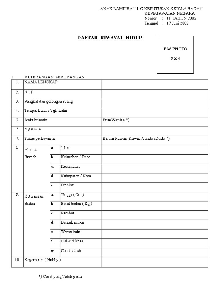 Contoh Daftar Riwayat Hidup PNS | PDF