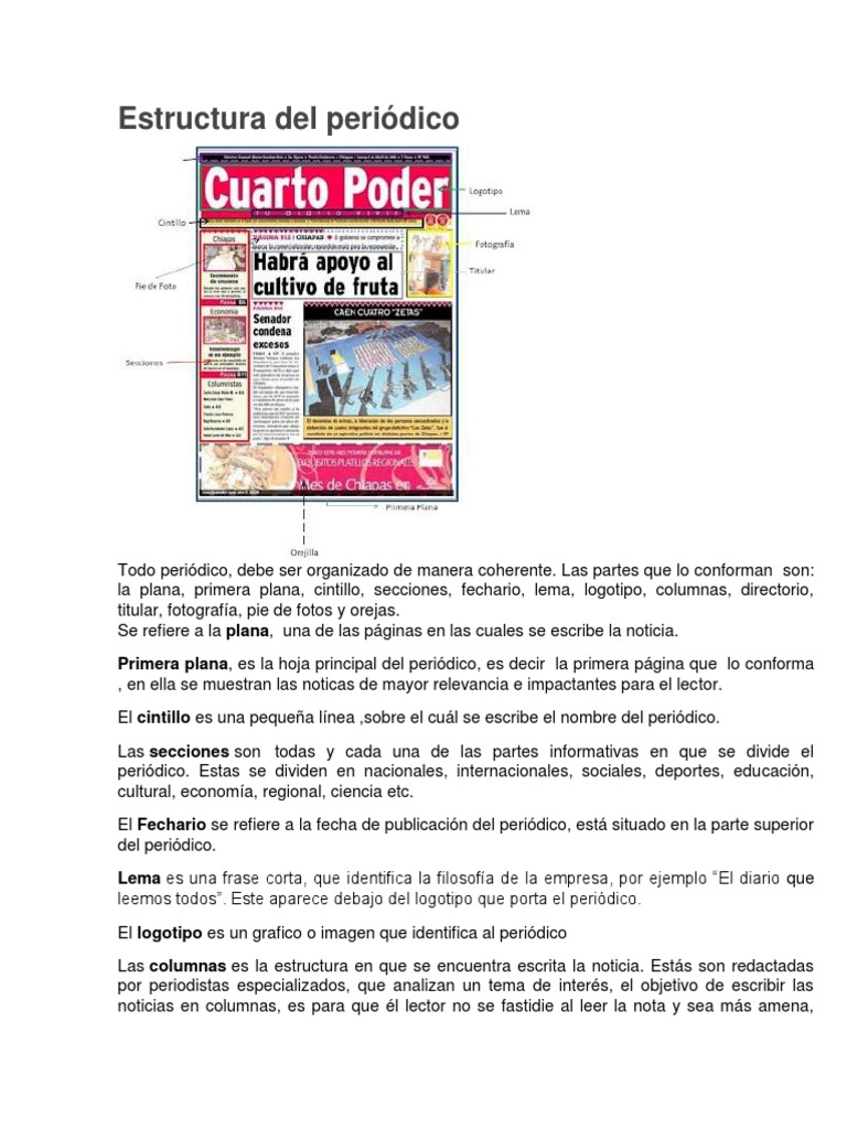 Estructura Del Periódico | Editorial | Comunicación