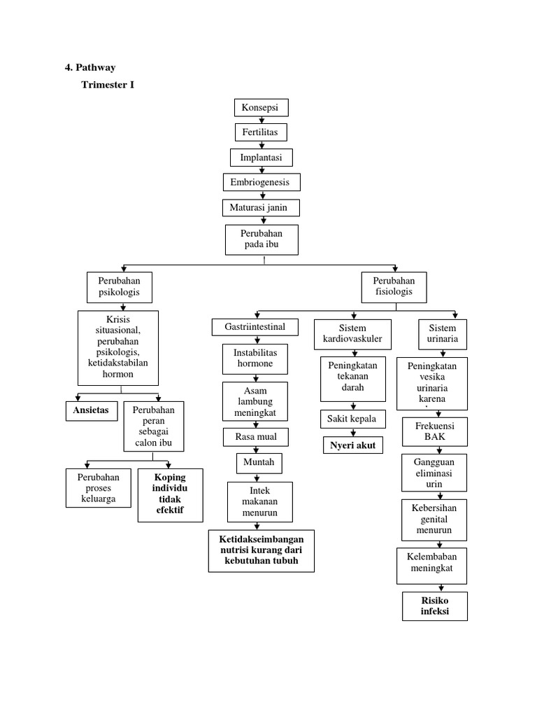 Pathway Anc Trimester 1 | PDF Pathway Anc Trimester 1 | PDF