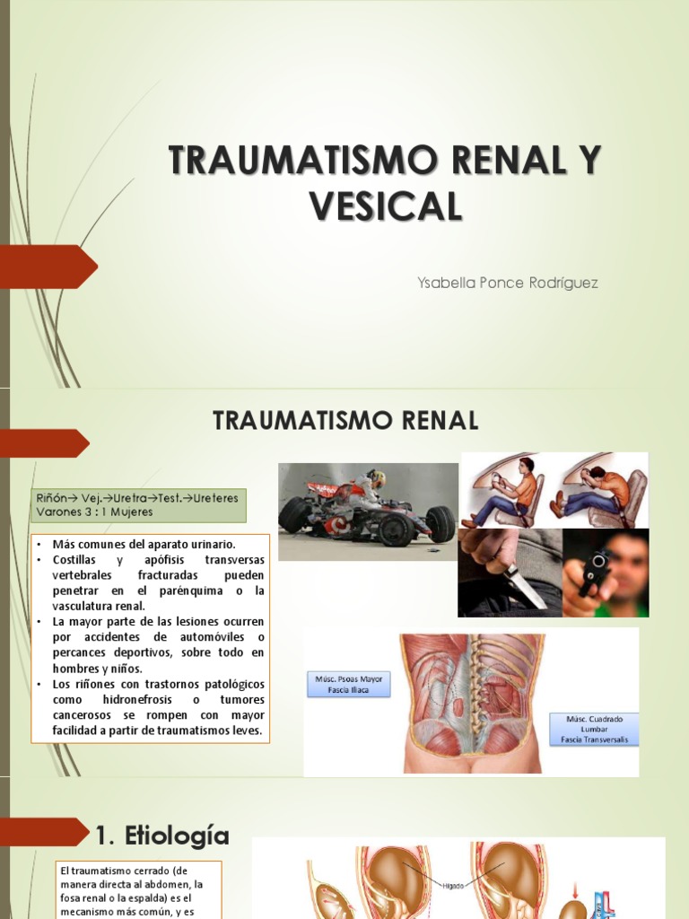 Trauma Renal y Vesical | PDF | Riñón | Abdomen