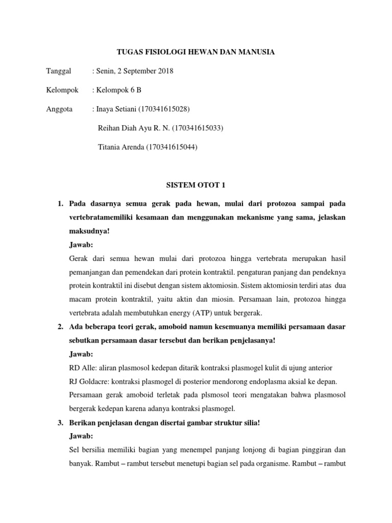 LKM 2 Sistem Otot | PDF | Sains & Matematika